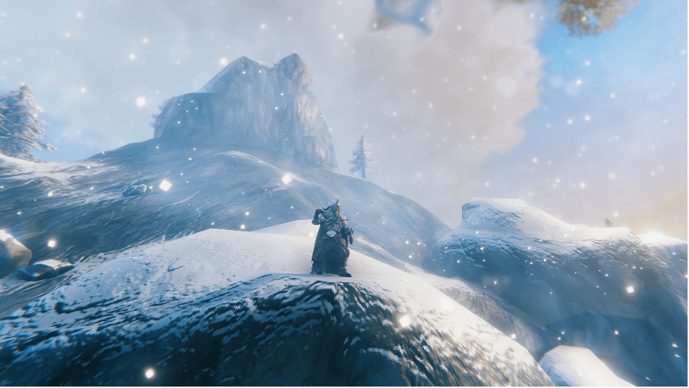 Valheim Fine Wood: How to Harvest the Hardwoods